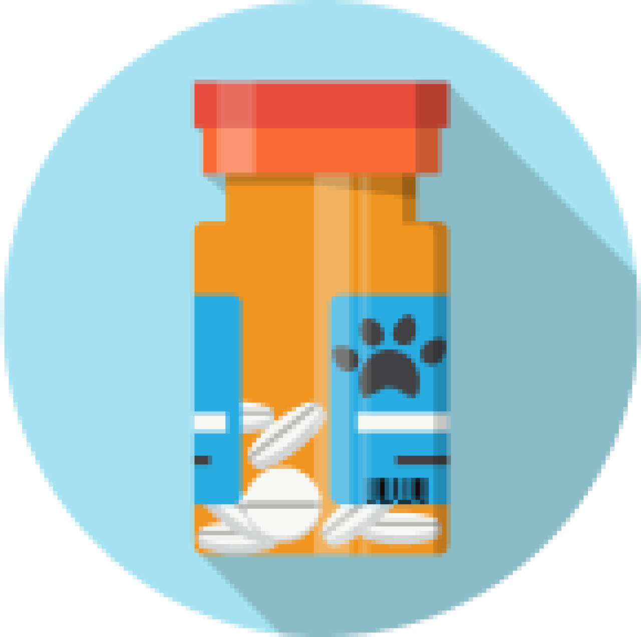 How to enter user submitted information into Templates - Chillidog Store How to enter user submitted information into Templates - Chillidog Store